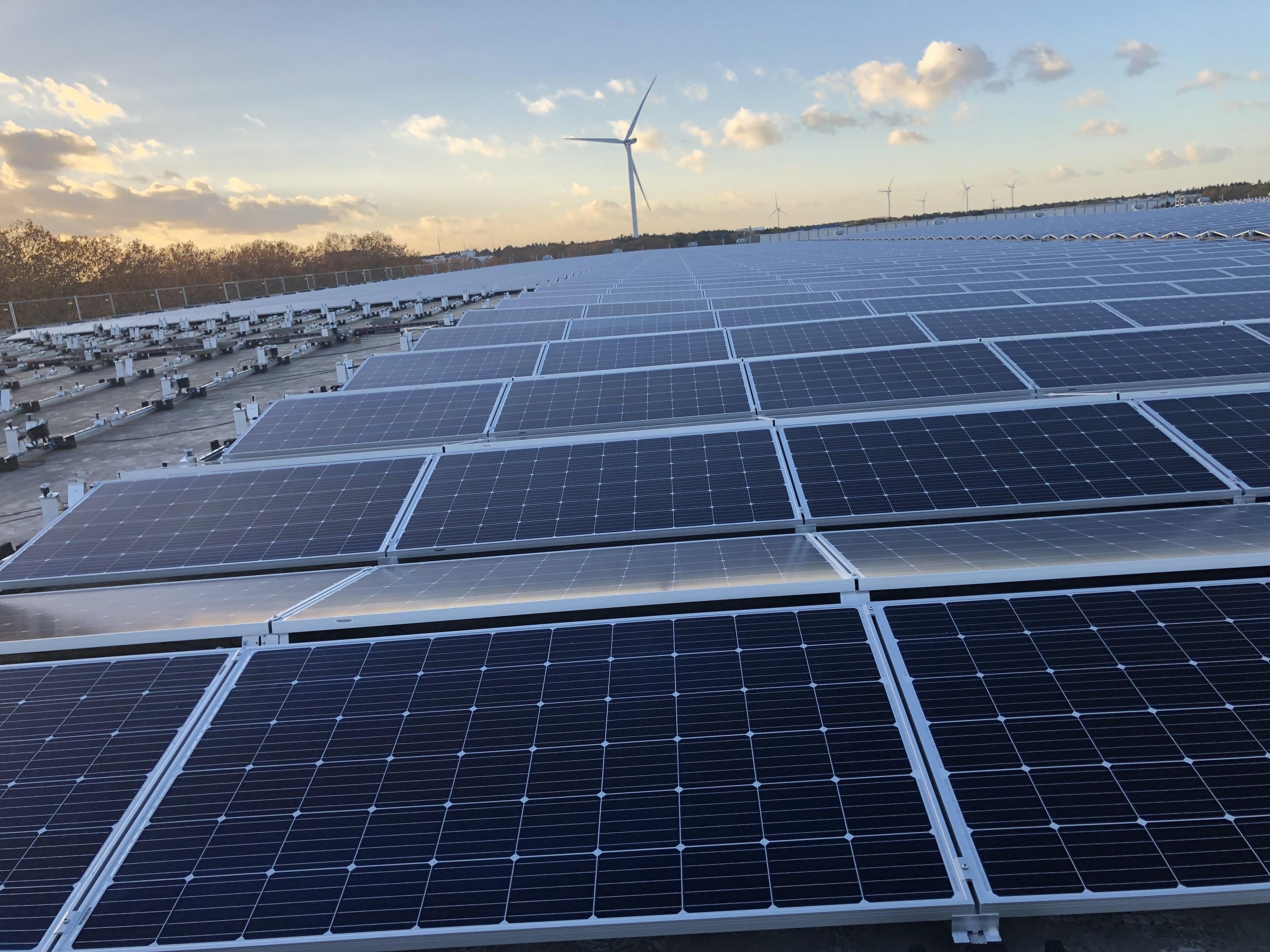 DOKVAST TRANSFORMS ROOF OF NEWLOGIC VI INTO SUSTAINABLE POWER PLANT dokvast-transforms-roof-of-newlogic-vi-into-sustainable-power-plant